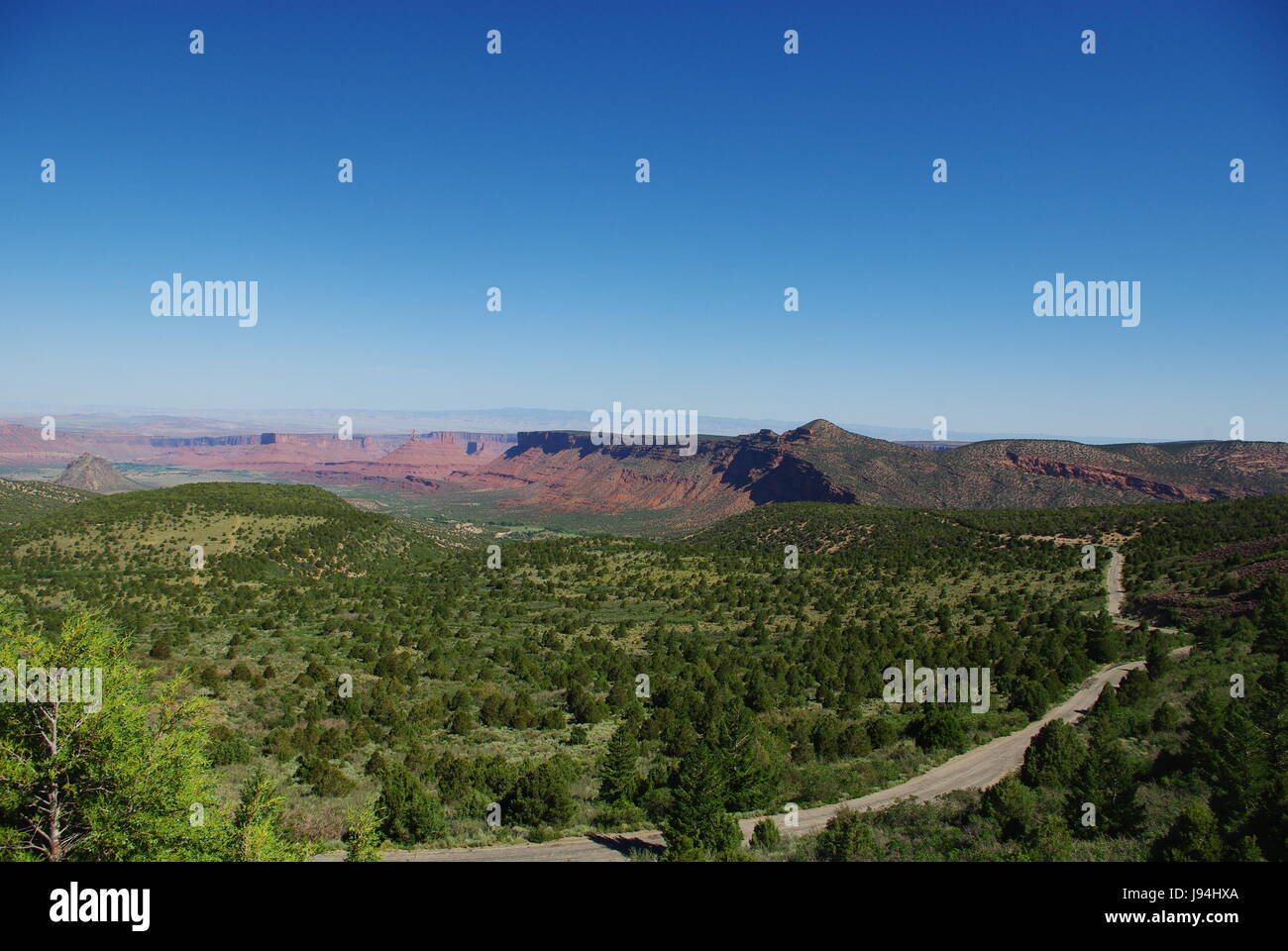 ravine, Canyon, high mountains, mountain, forest, blue, tree, desert ...