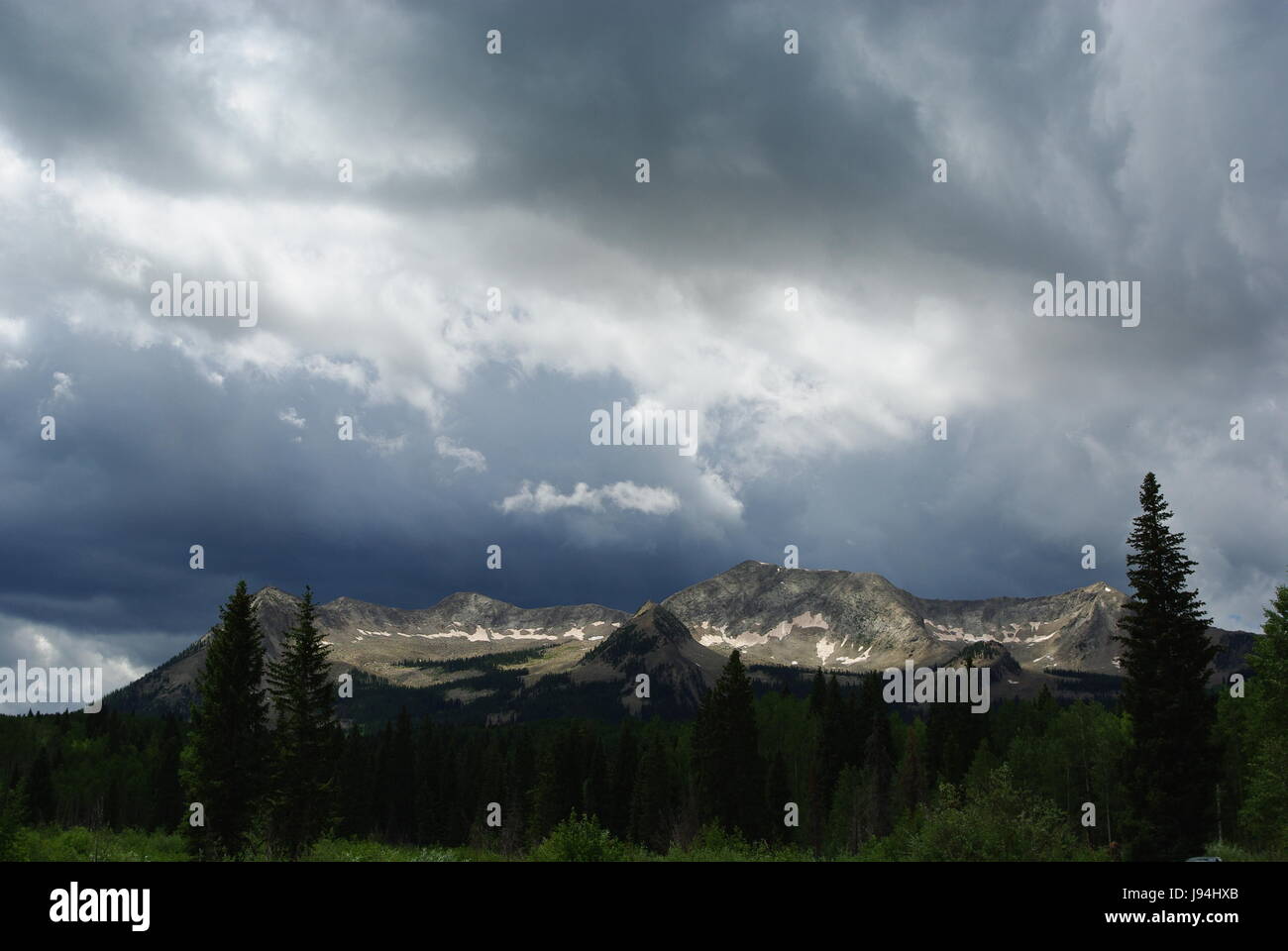 conifer, conifer forest, mountain range, high mountains, mountain ...