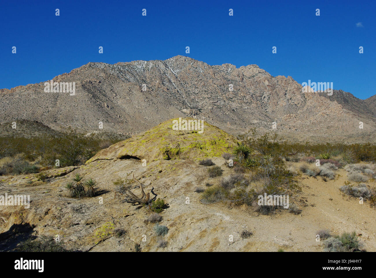 desert, wasteland, green, rock, shrub, mountain range, mountain, grey ...
