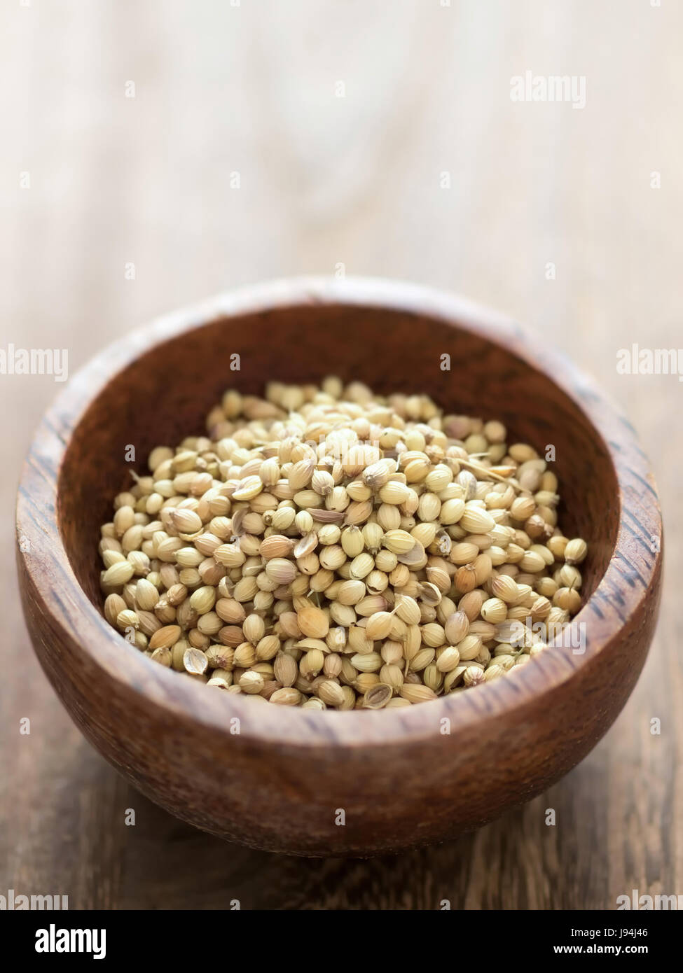 spice, aromatic, dried, spices, emblements, seeds, flavor, coriander ...