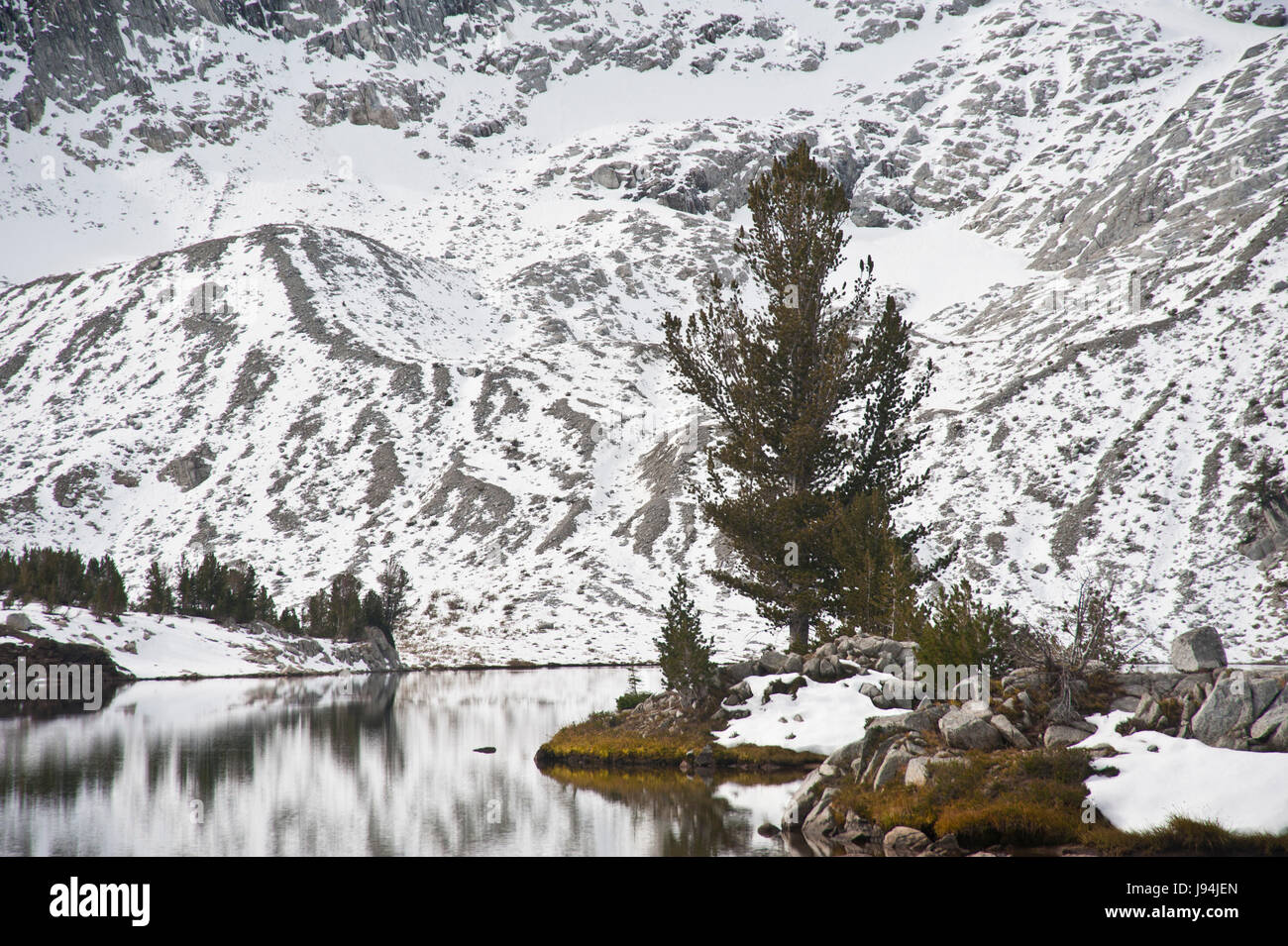 winter, snow, coke, cocaine, material, drug, anaesthetic, addictive ...