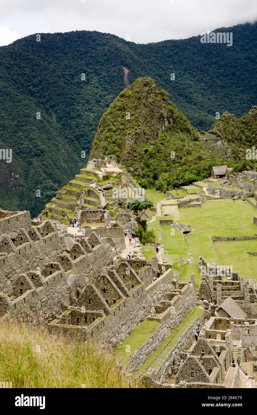 peru andes farms