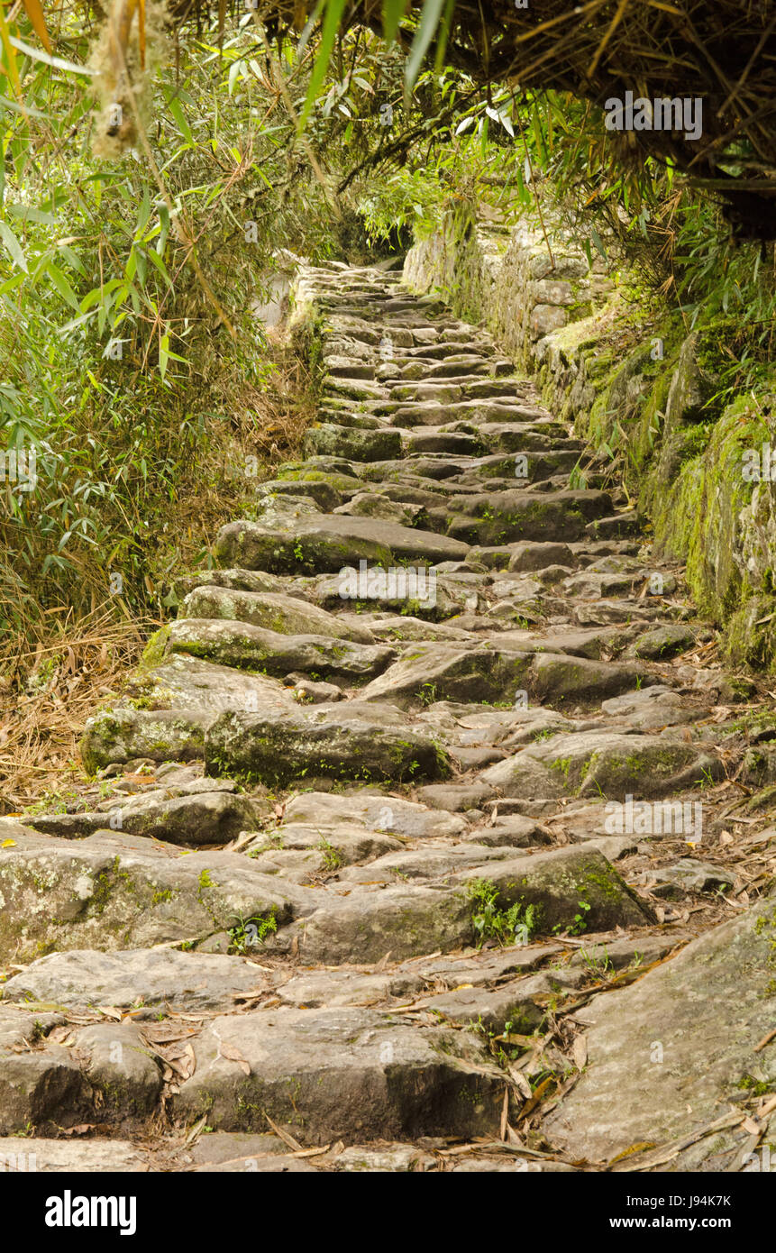 peru, trail, andes, ancient, stairs, stone, steep, peru, trail, incline ...