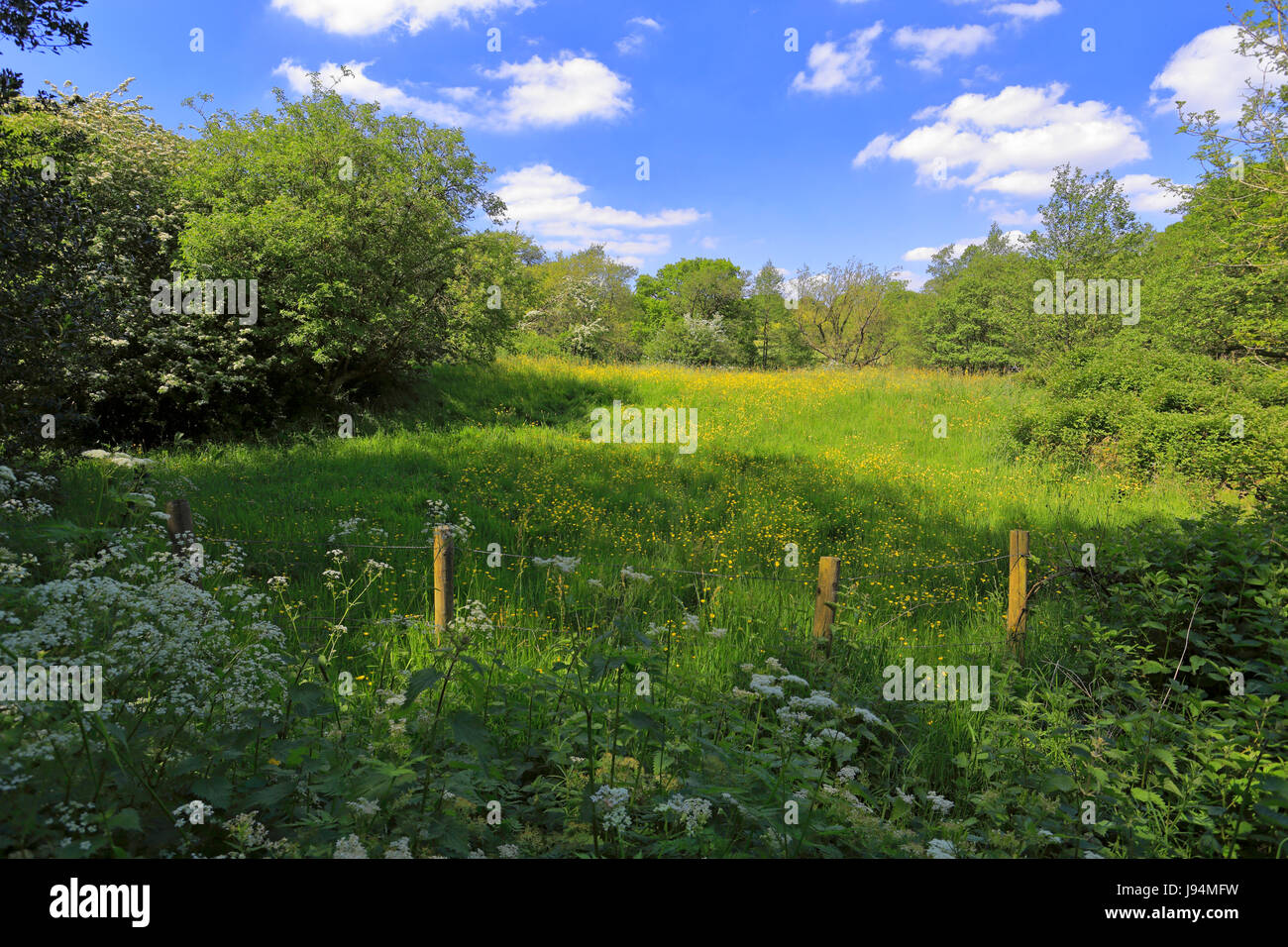 Brook and meadows in valley hi-res stock photography and images - Alamy