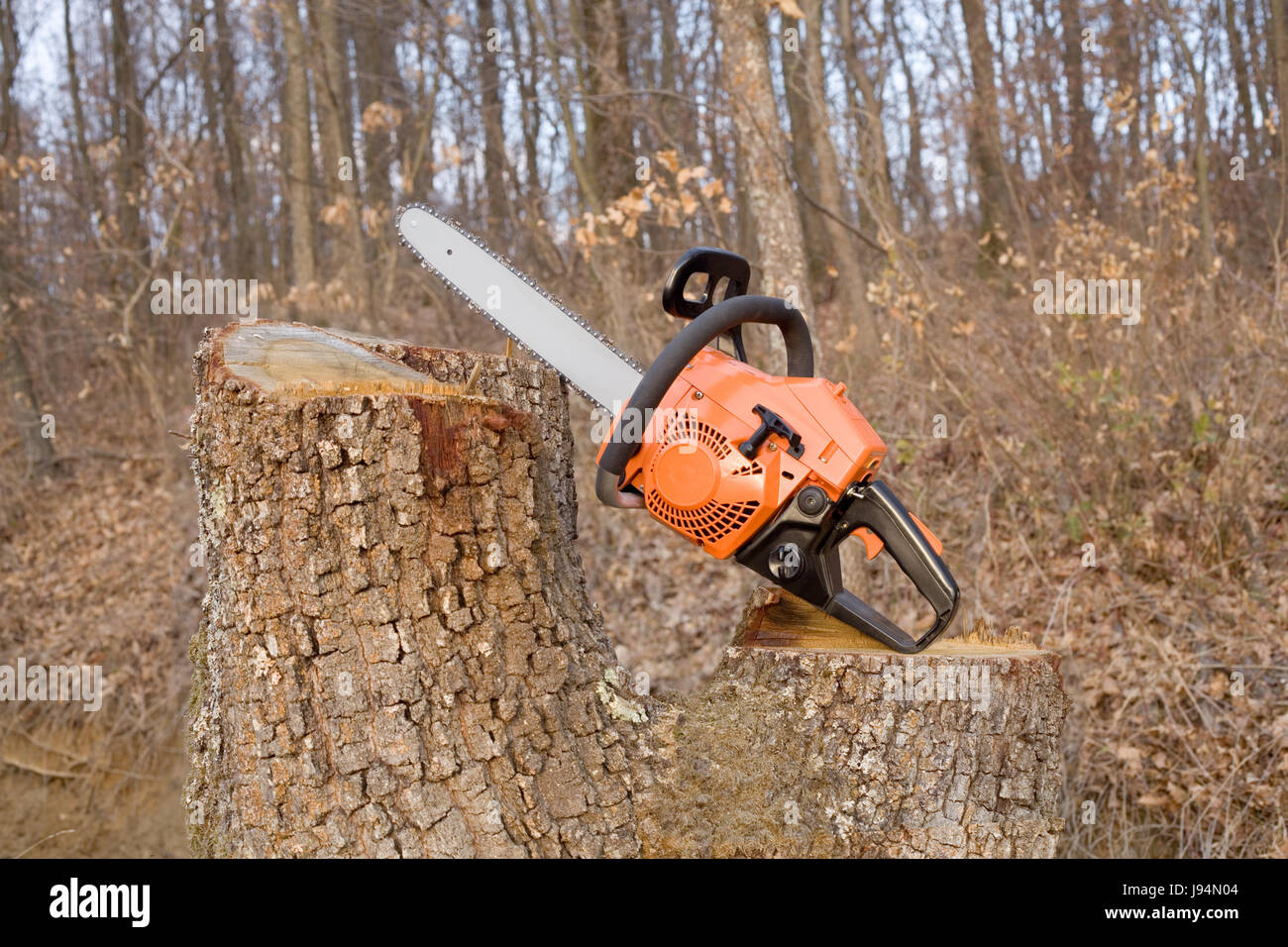 timber, log, forestry, device, robot, automatic machine, machine ...