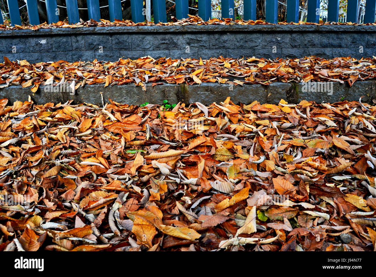 leaf, colour, ground, soil, earth, humus, brown, brownish, brunette ...