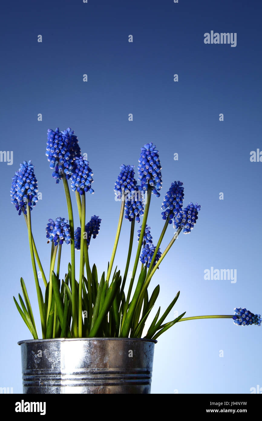 do not allow to hang Stock Photo - Alamy