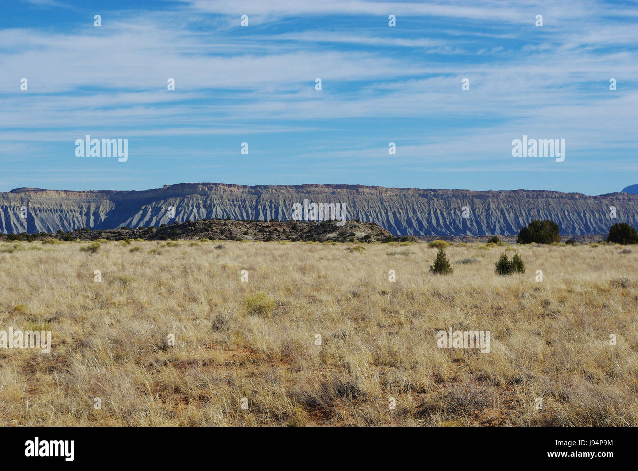 desert, wasteland, shrub, sandstone, dry, dried up, barren, plateau ...