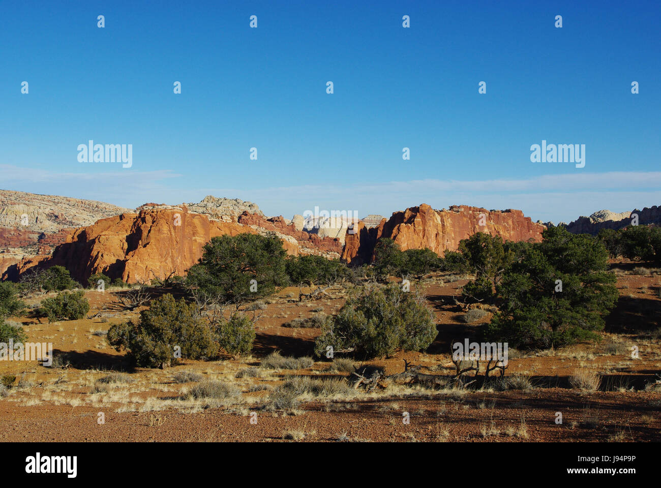 colours in capitol reef national park,utah Stock Photo - Alamy
