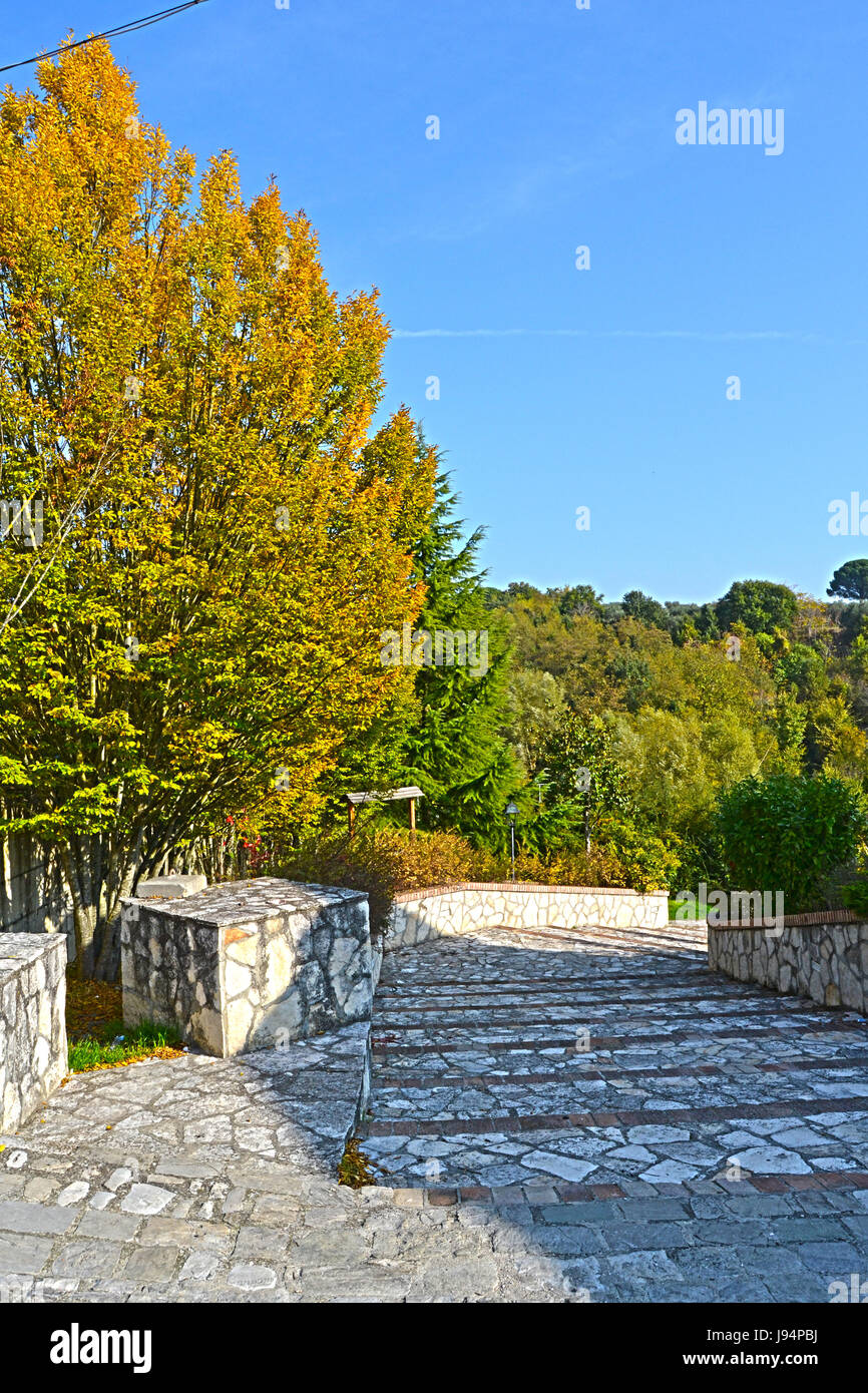environment, enviroment, tree, trees, hill, plants, landscape, scenery ...