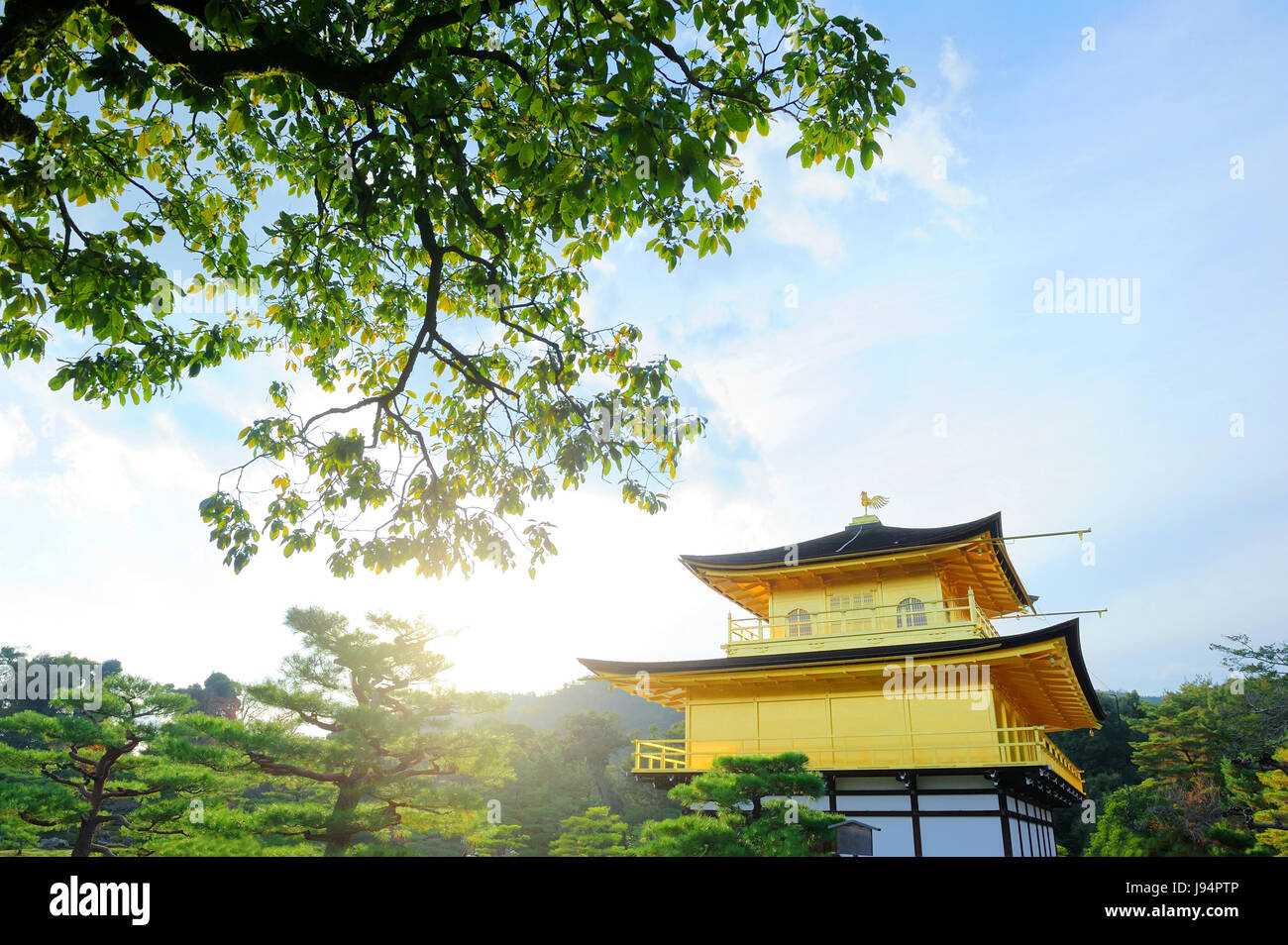 Kinkakuji Temple (The Golden Pavilion) in autumn. Kyoto JAPAN Stock ...