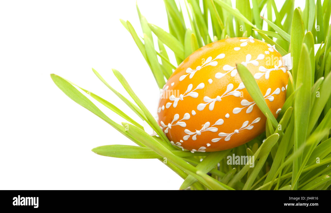 isolated, easter, spring, bouncing, bounces, hop, skipping, frisks ...