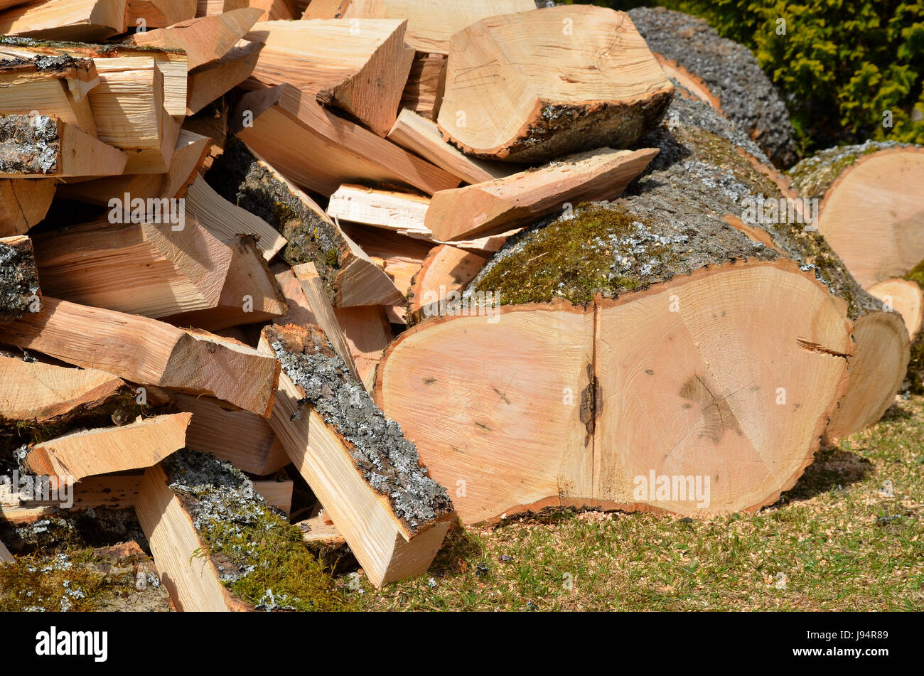 wood, deciduous wood, ash, strength, force, chop, tree, wood, deciduous ...