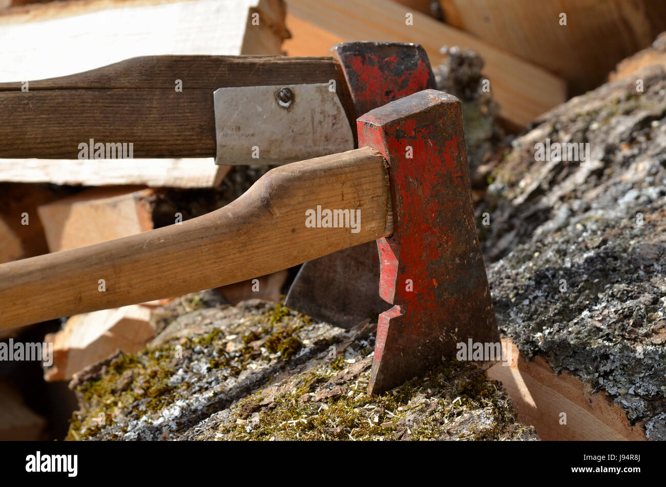 wood, deciduous wood, ash, strength, force, chop, tree, wood, deciduous ...