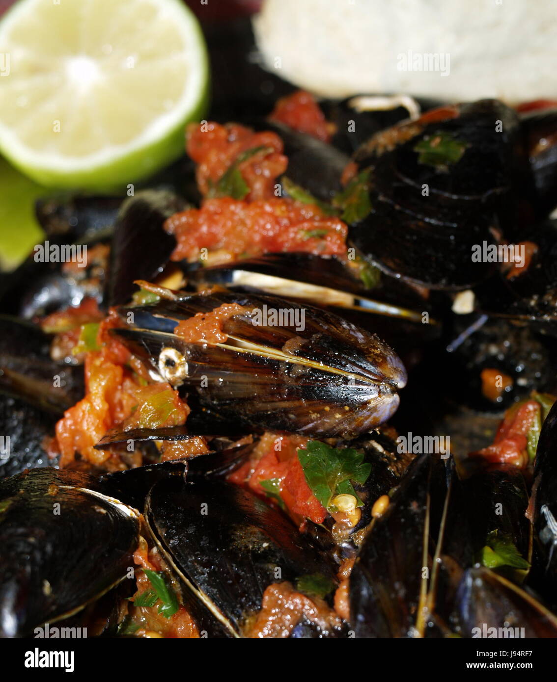 food, aliment, shellfish, lemon, citron, salt water, sea, ocean, water ...