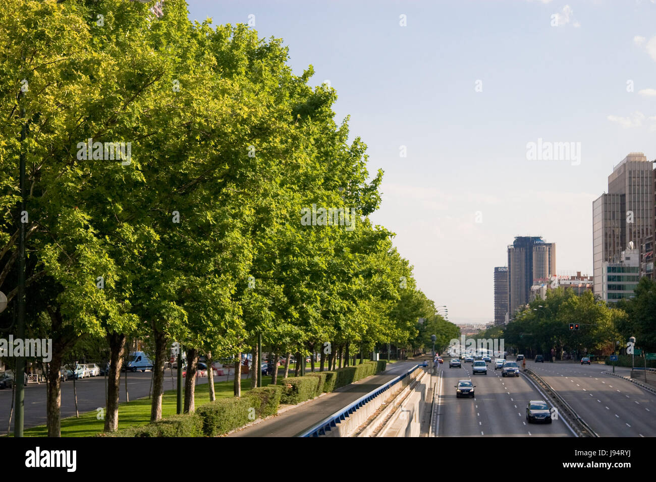 blue, object, colour, tree, car, automobile, vehicle, means of travel ...
