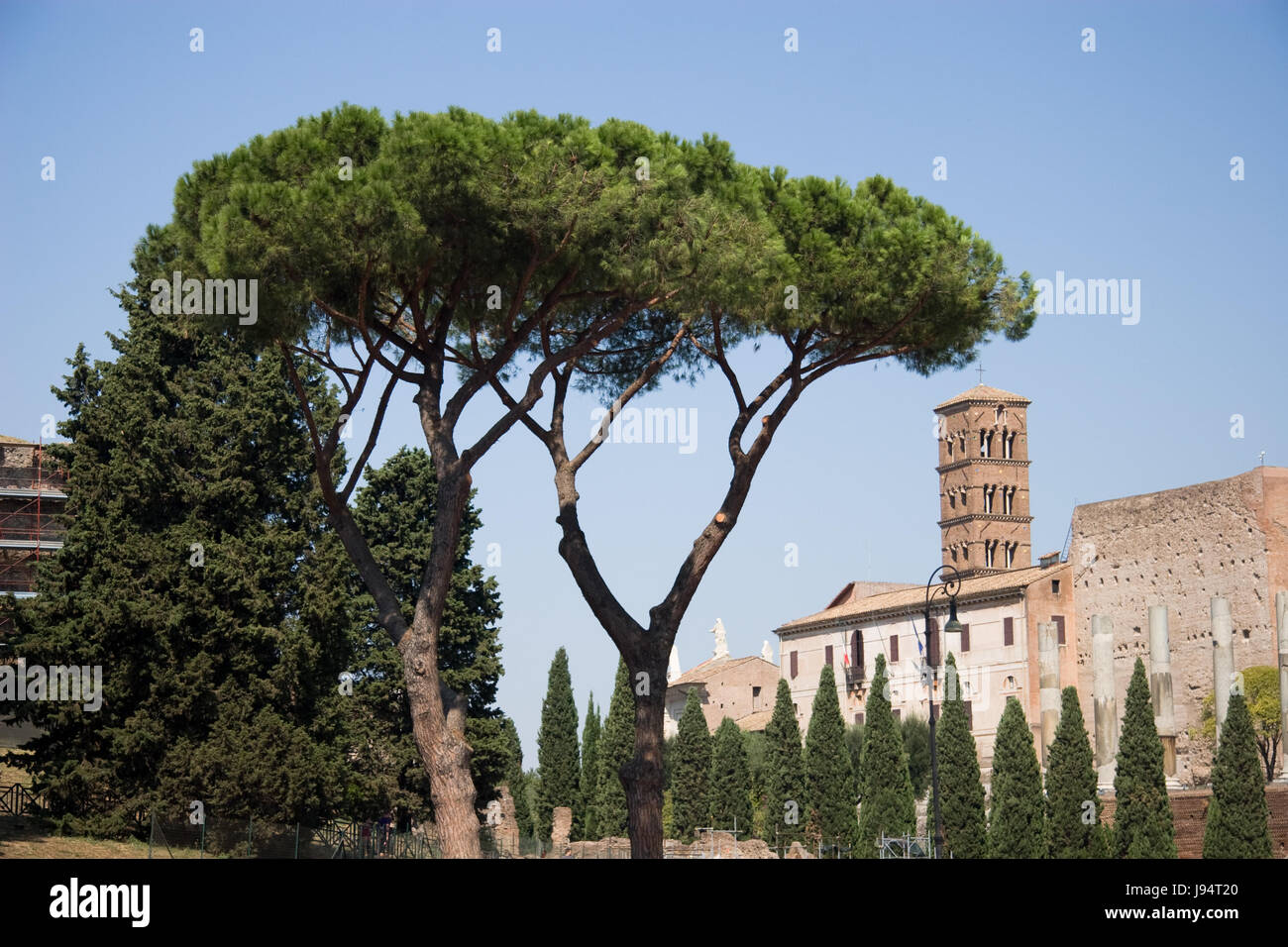 blue, object, colour, tree, photo, camera, Rome, roma, sight, view ...