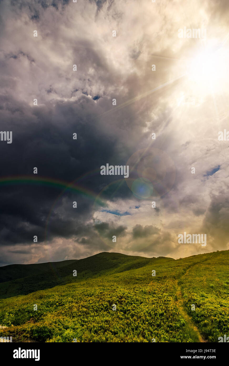 beautiful summer landscape. grassy meadow on a hillside of mountain ...