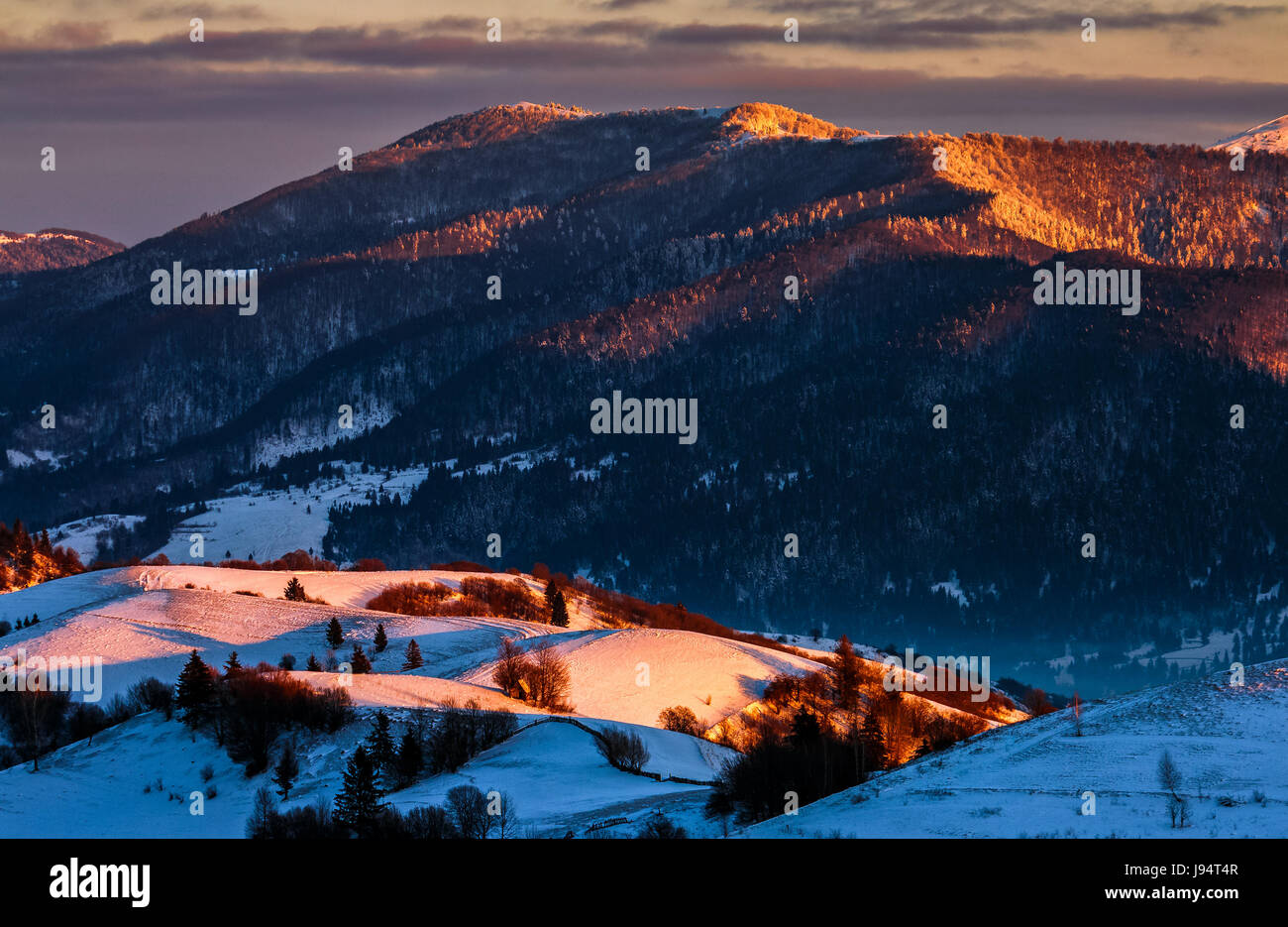 beautiful warm winter sunrise on cloudy morning in snow covered fields ...