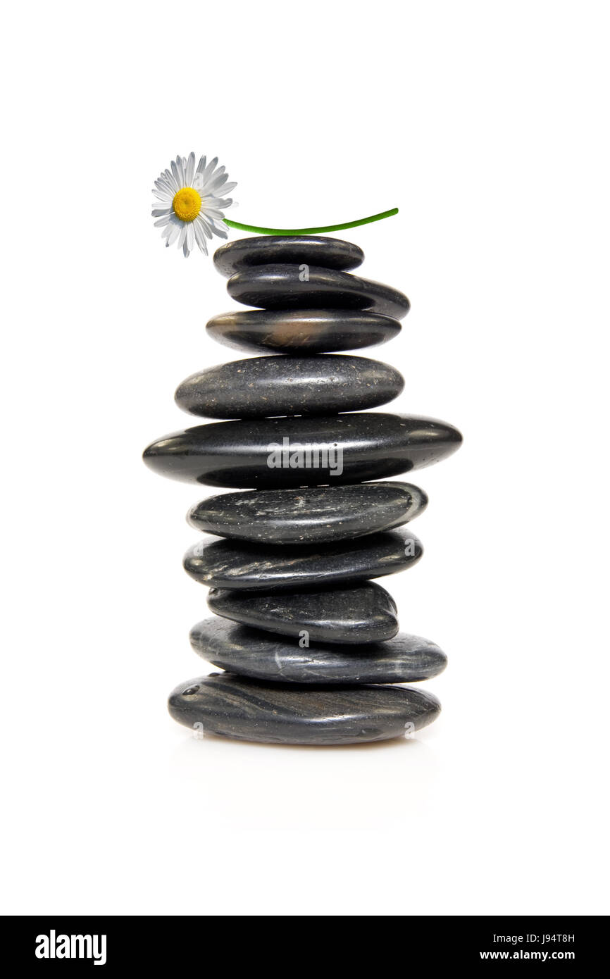 stone, flower, plant, daisy, therapy, pebble, spa, mineral spring ...