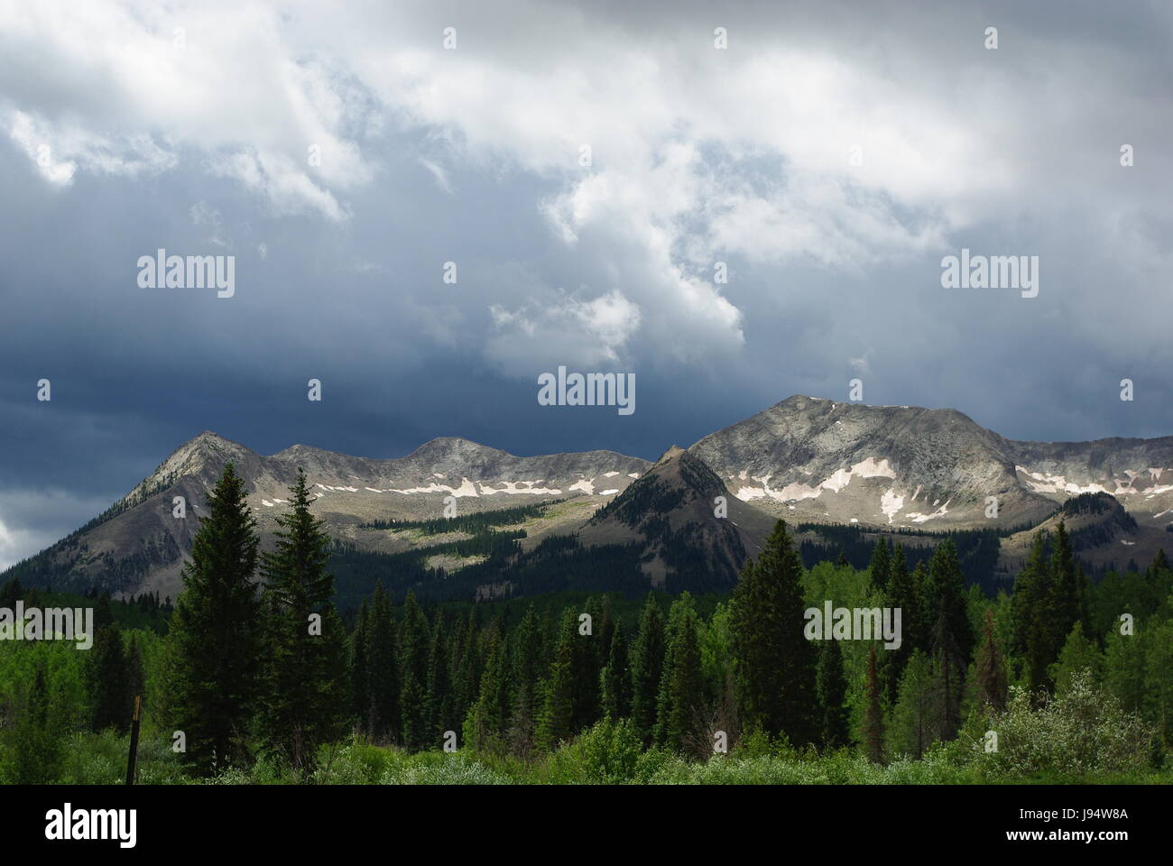 green, rock, conifer, conifer forest, mountain range, mountain, forest ...