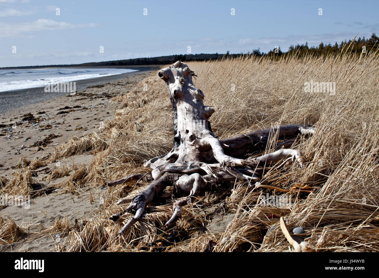 Michaud hi-res stock photography and images - Alamy