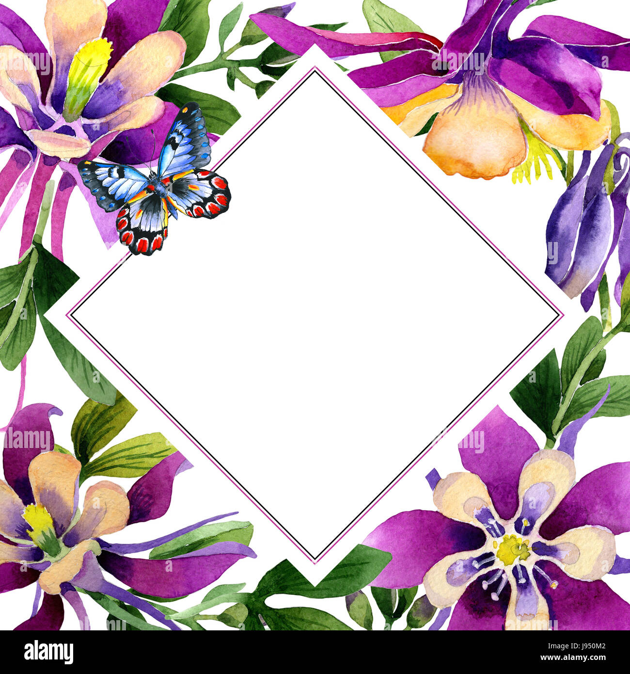 Wildflower orchid flower frame in a watercolor style isolated Stock ...