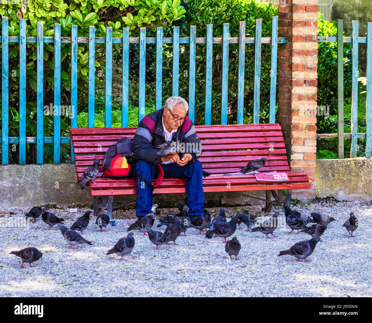 Man on bench feeding birds hi-res stock photography and images - Alamy