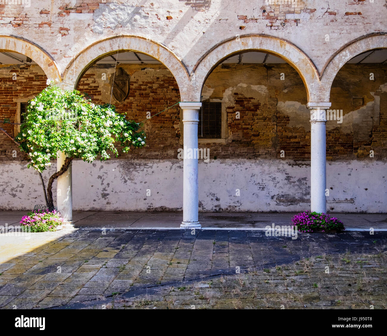 Cloister of the Basilica di San Pietro di Castello with arches ...