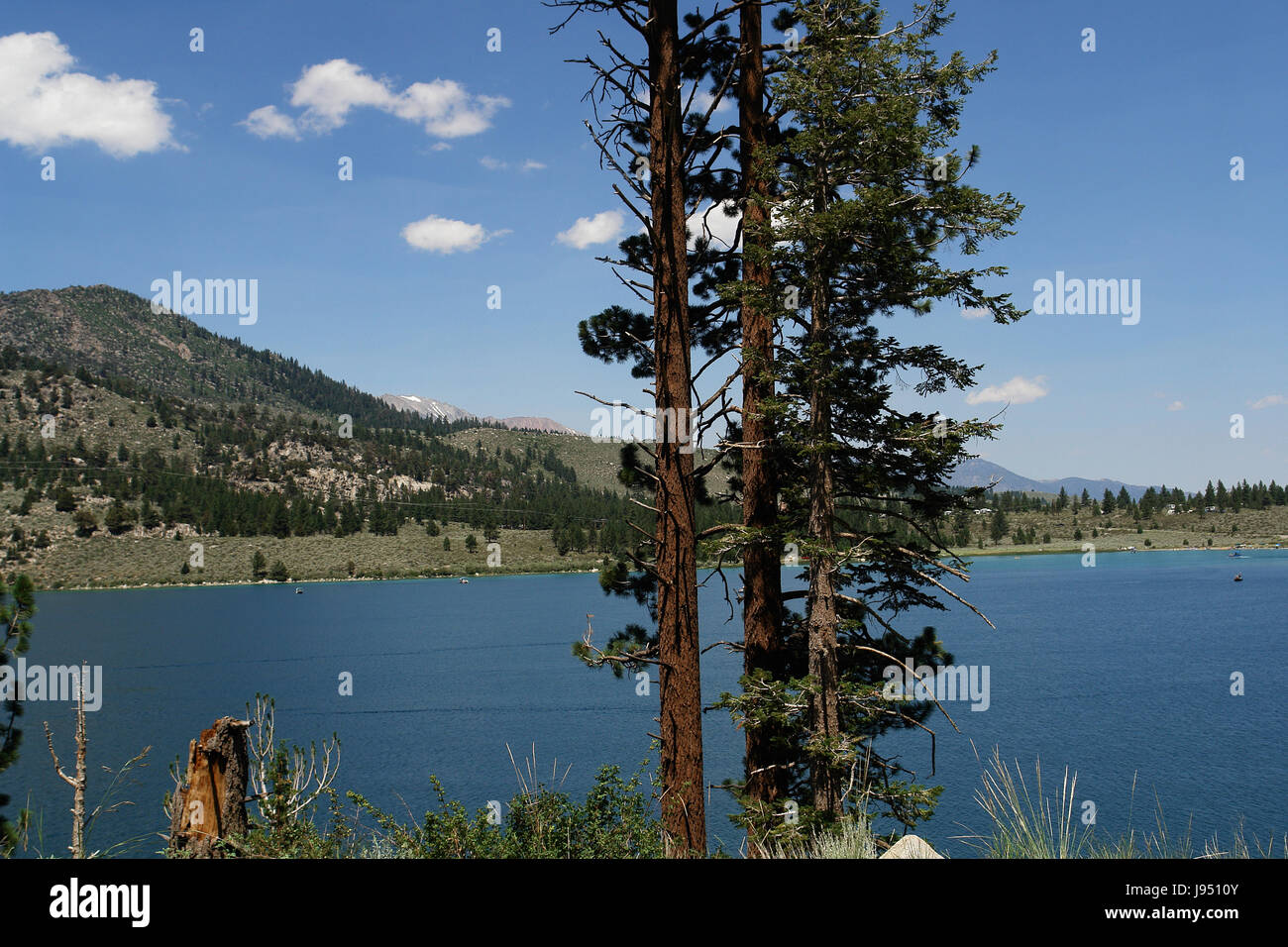 June Lake, June Mountain, Sierra Nevada mountains, California USA Stock ...