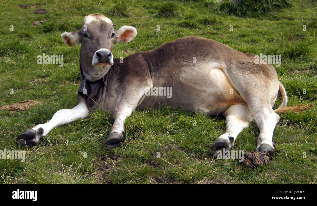 Tageswanderung High Resolution Stock Photography and Images - Alamy