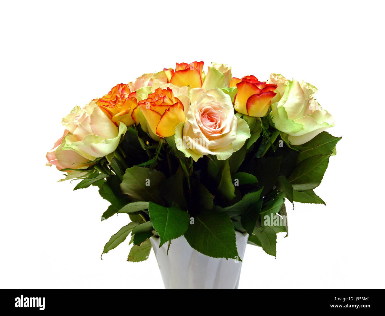 Rosenstrauss rosenstrauss hi-res stock photography and images - Alamy