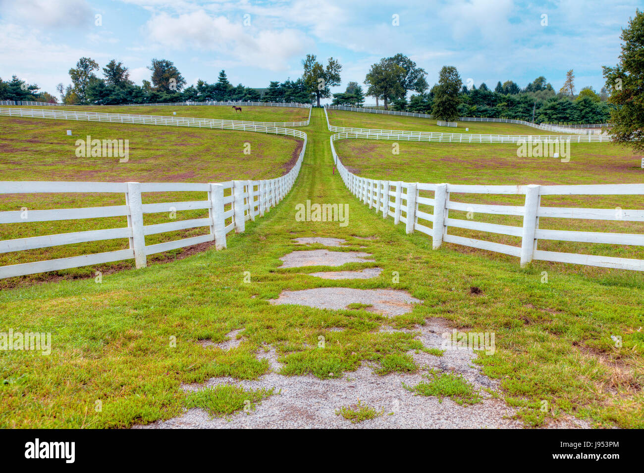 agriculture, farming, farm, fences, country, pasture, landscape ...
