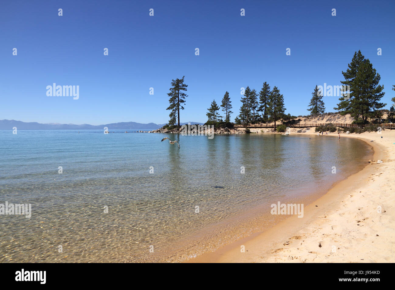 beautiful, beauteously, nice, beach, seaside, the beach, seashore ...