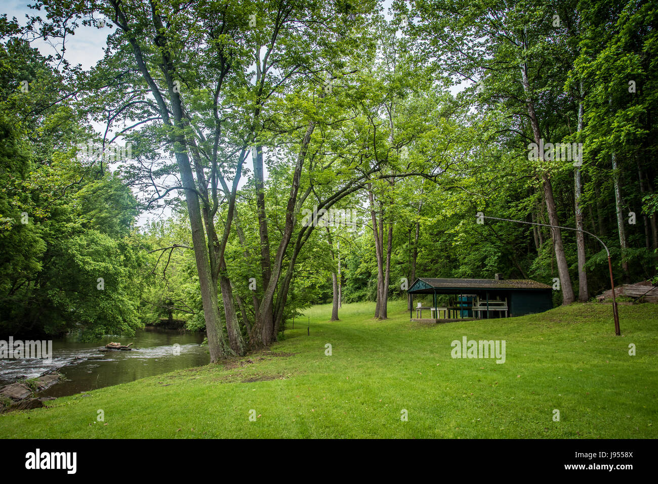Camping Ground Forest Landscape Stock Photo - Alamy