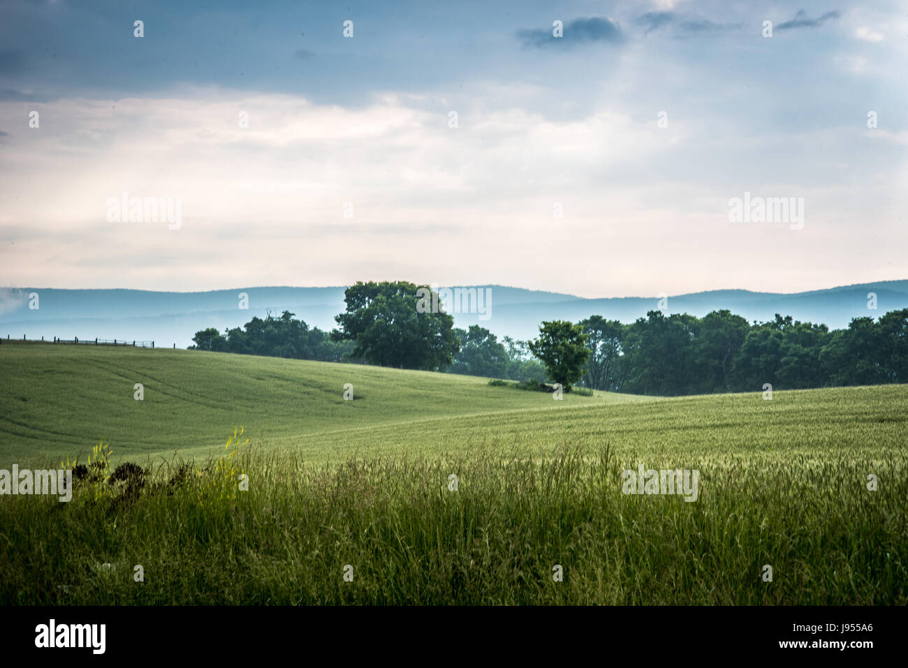 Farmland Forest Landscape Stock Photo - Alamy