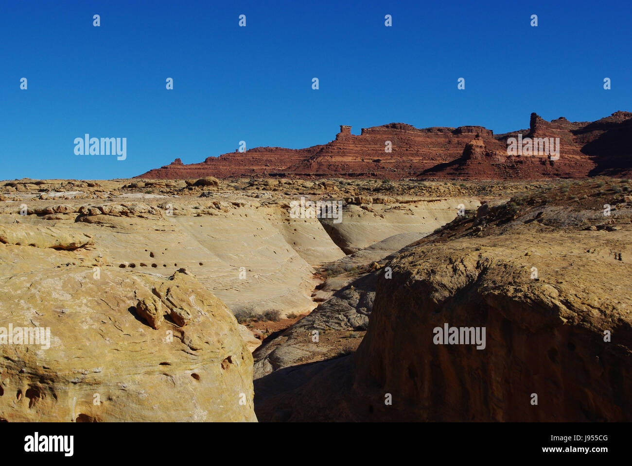 Barren Desert Wasteland