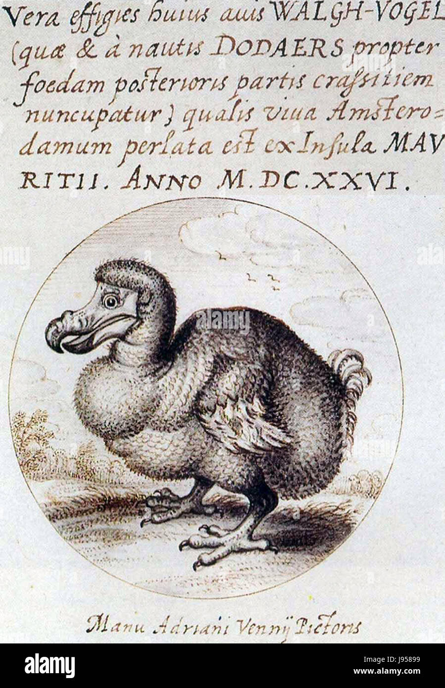 Venne hi-res stock photography and images - Alamy