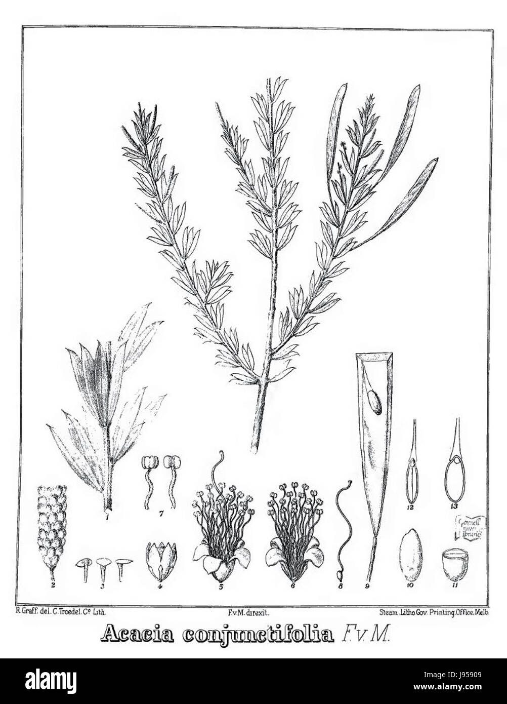 Figure remains Cut Out Stock Images & Pictures - Alamy