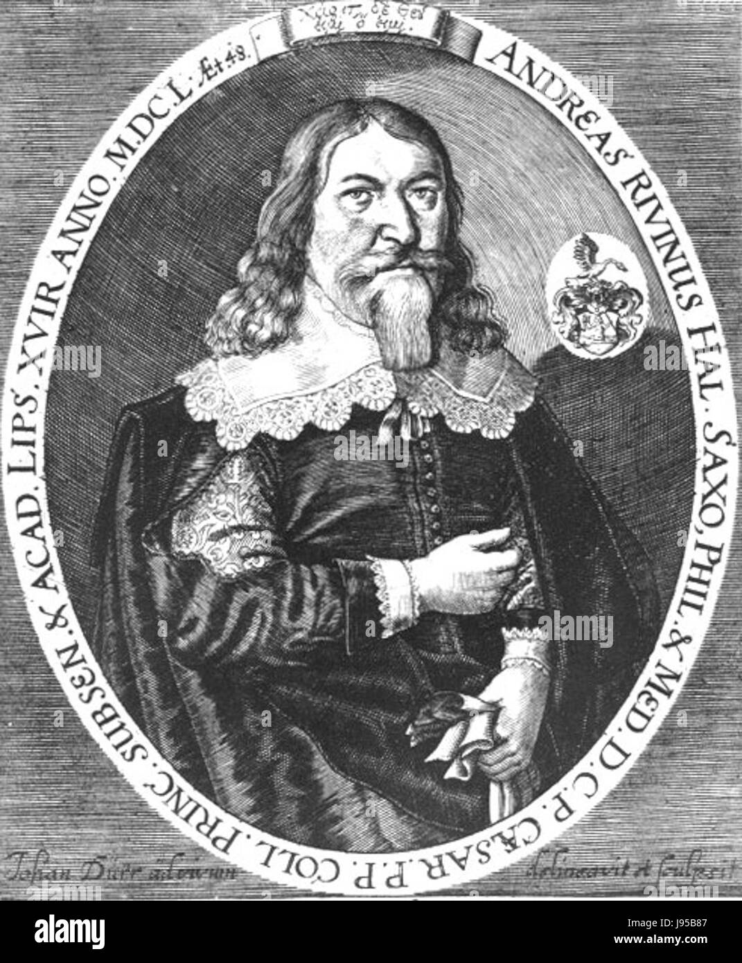 Rivinus hi-res stock photography and images - Alamy