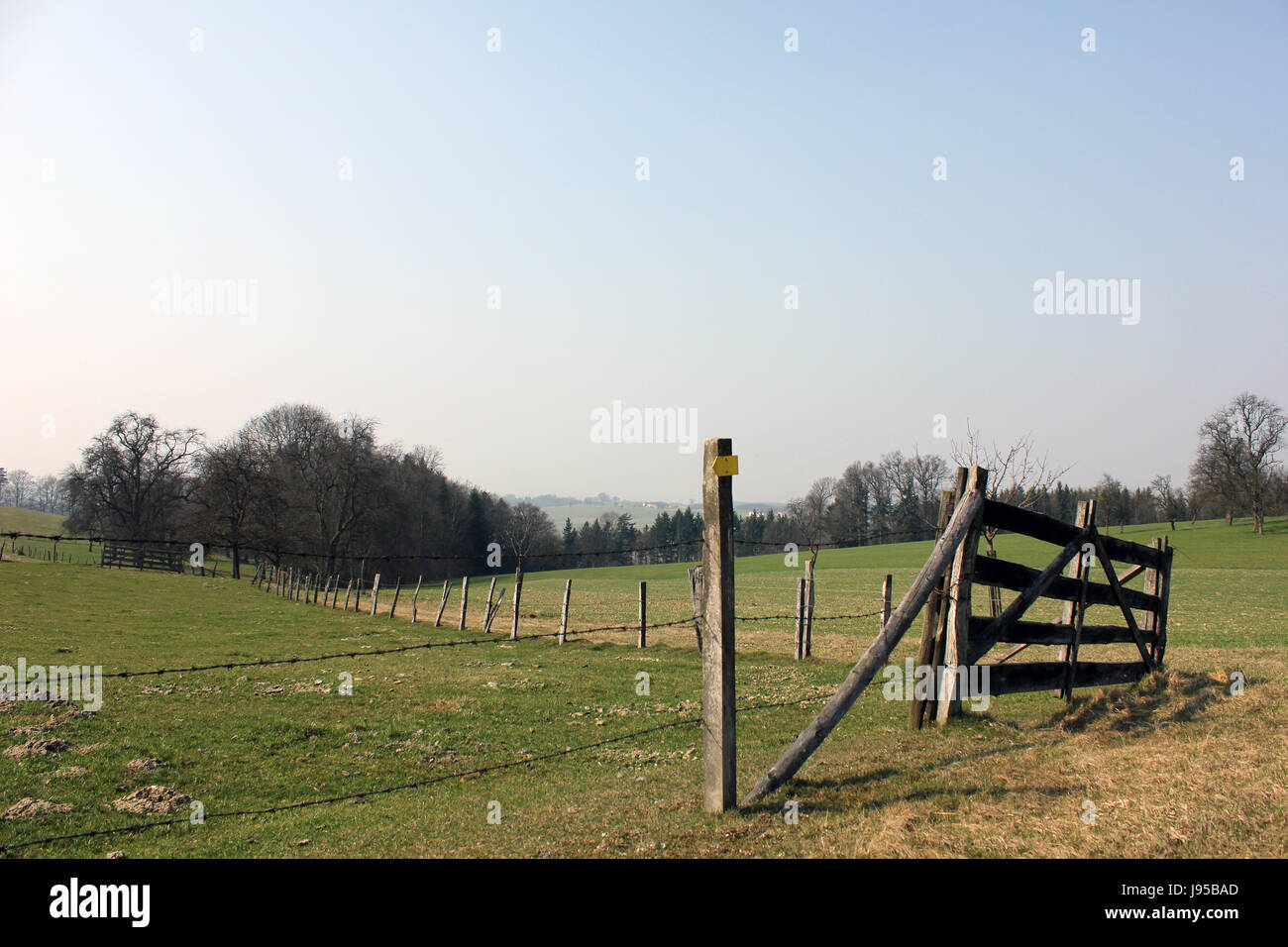 spring, bouncing, bounces, hop, skipping, frisks, jumping, jump, fence ...