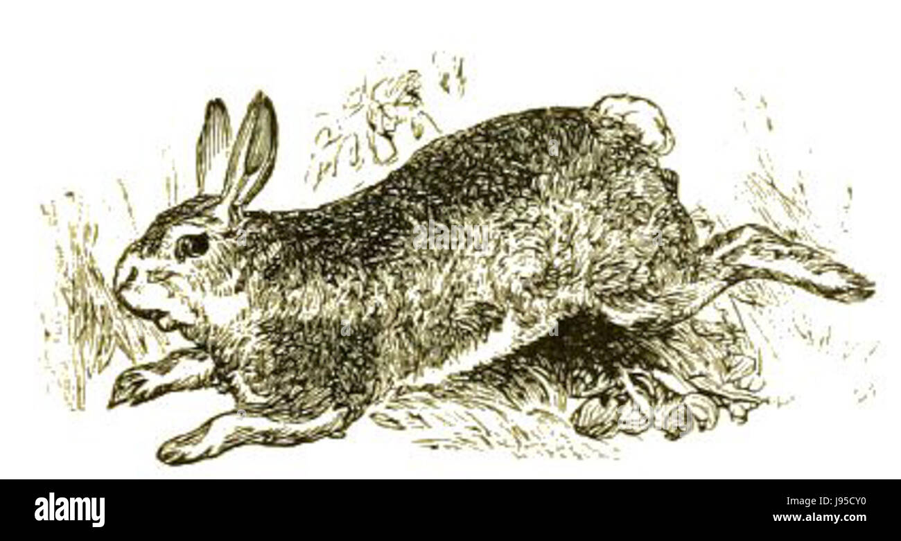 301b hi-res stock photography and images - Alamy