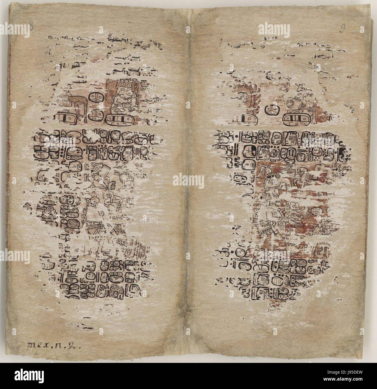 The Paris Codex is a Mayan manuscript, providing key insights into the ...