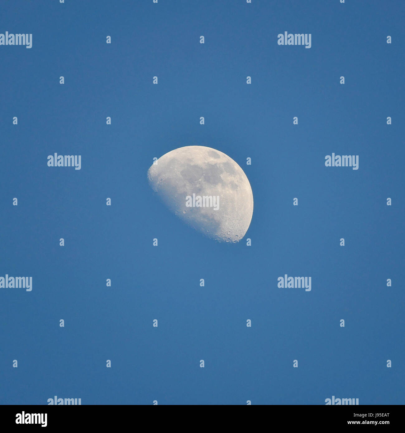 space, universe, moon, astrology, globe, planet, earth, world ...