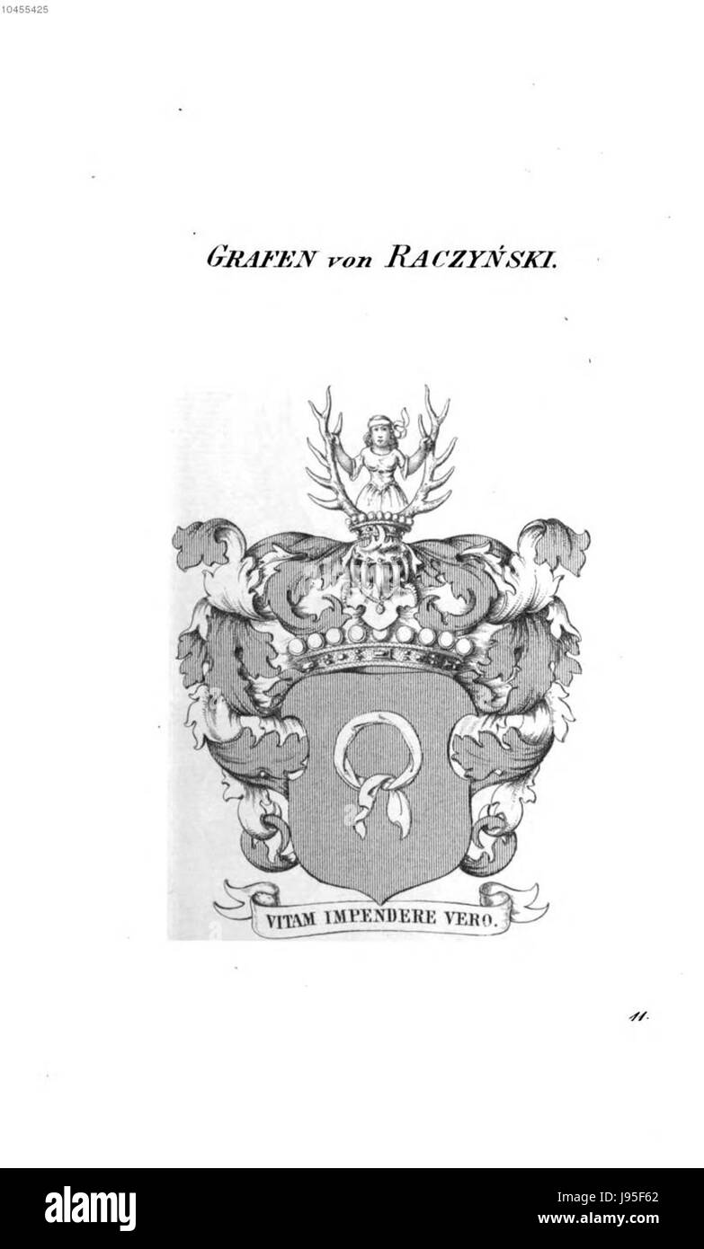 Raczynski Tyroff AT is an abstract work characterized by geometric ...