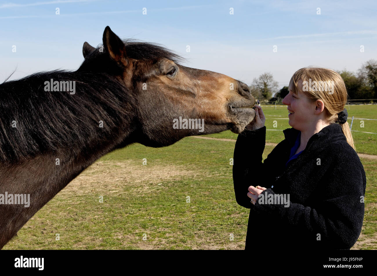 Lady horse rider hi-res stock photography and images - Alamy