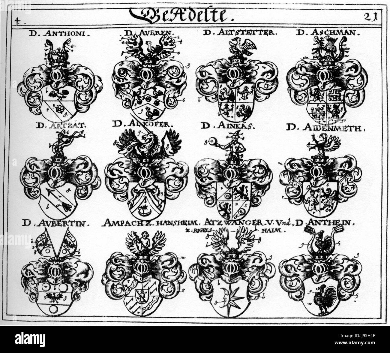 Family lineages Black and White Stock Photos & Images - Alamy