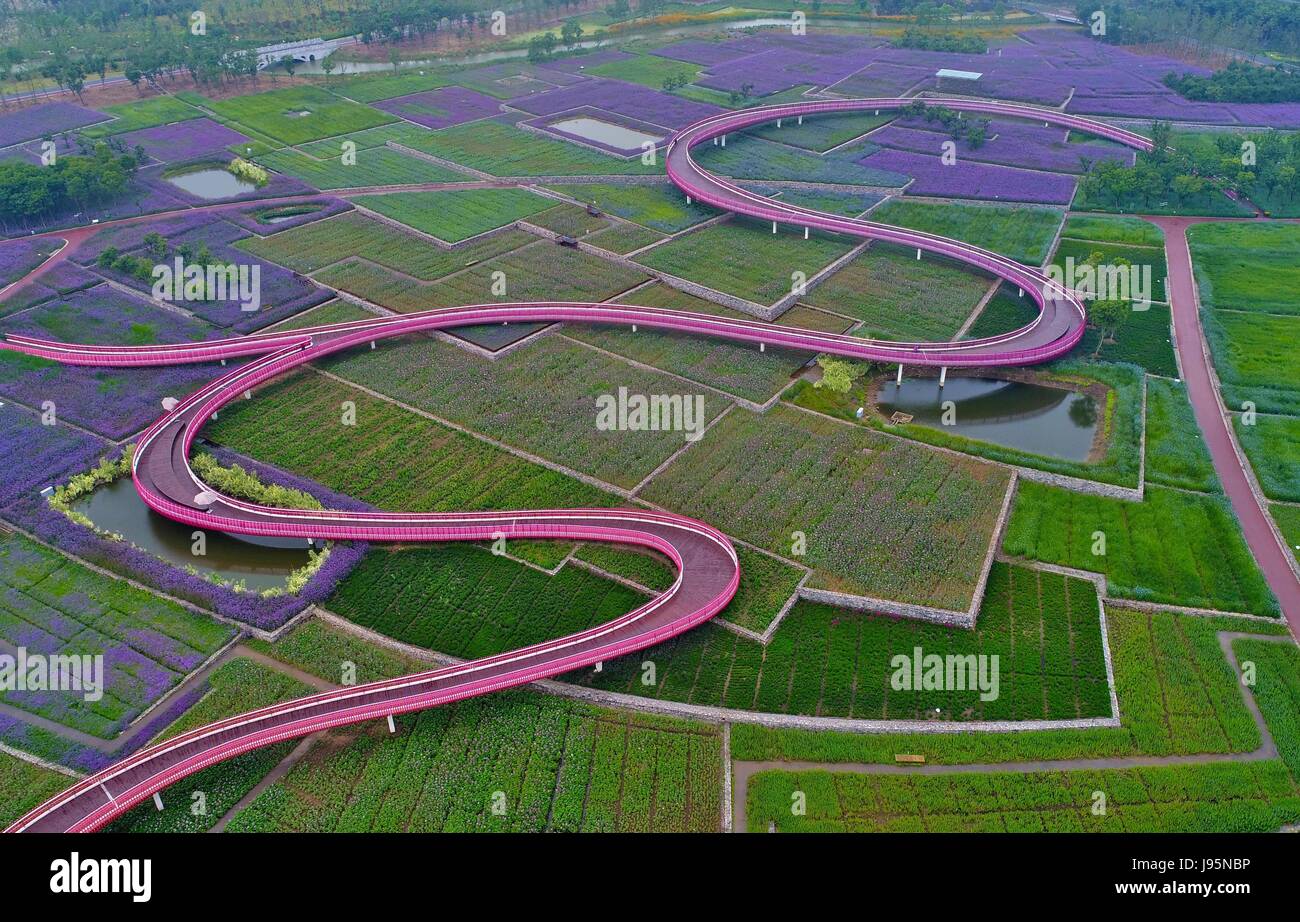 Suqian, Suqian, China. 3rd June, 2017. Suqian, CHINA-June 3 2017 ...