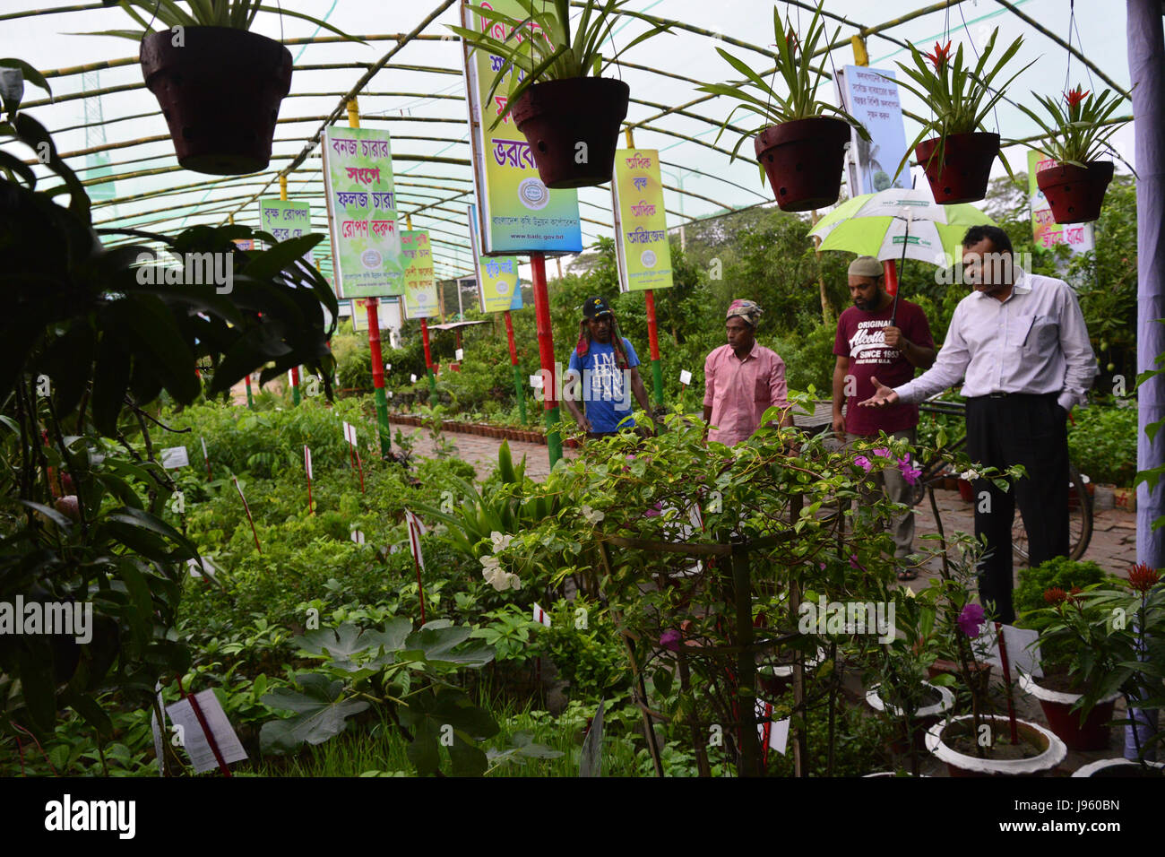 Bangladeshi peoples visits in the National Tree Fair at Agargaong in ...