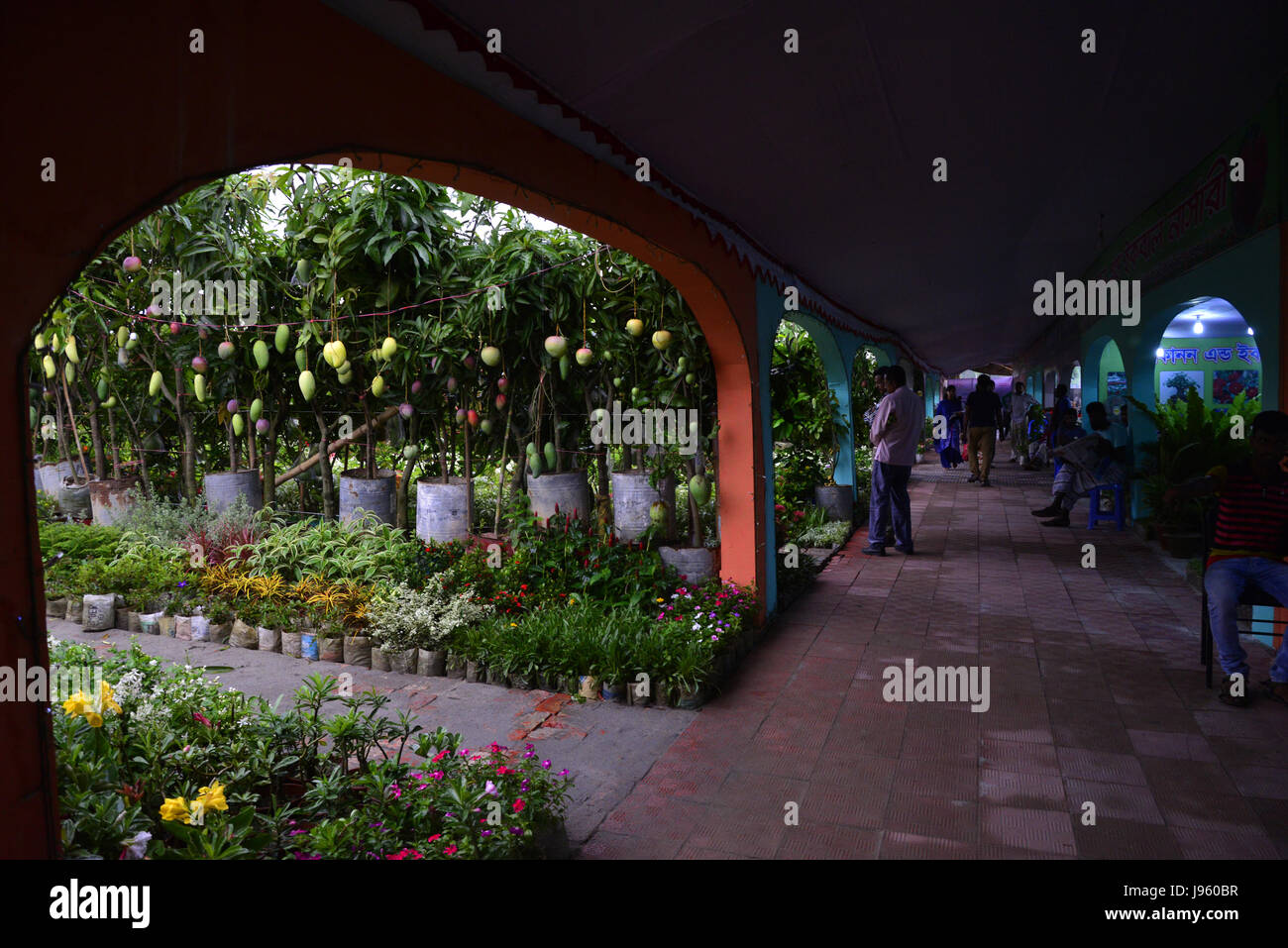 Bangladeshi peoples visits in the National Tree Fair at Agargaong in ...